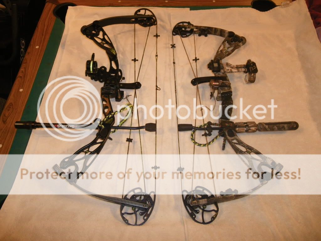 Lets see your Martin/Rytera setups | Archery Talk Forum