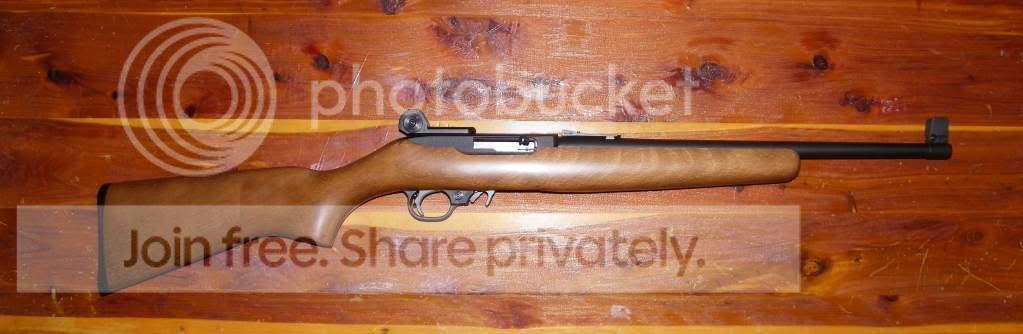 my appleseed gun | Rimfire Central Firearm Forum